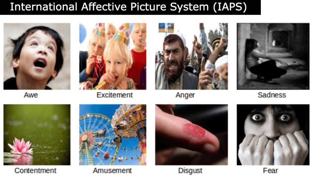 Is the Skin Electrical Conductivity the Mirror of the Soul? - Digital ...